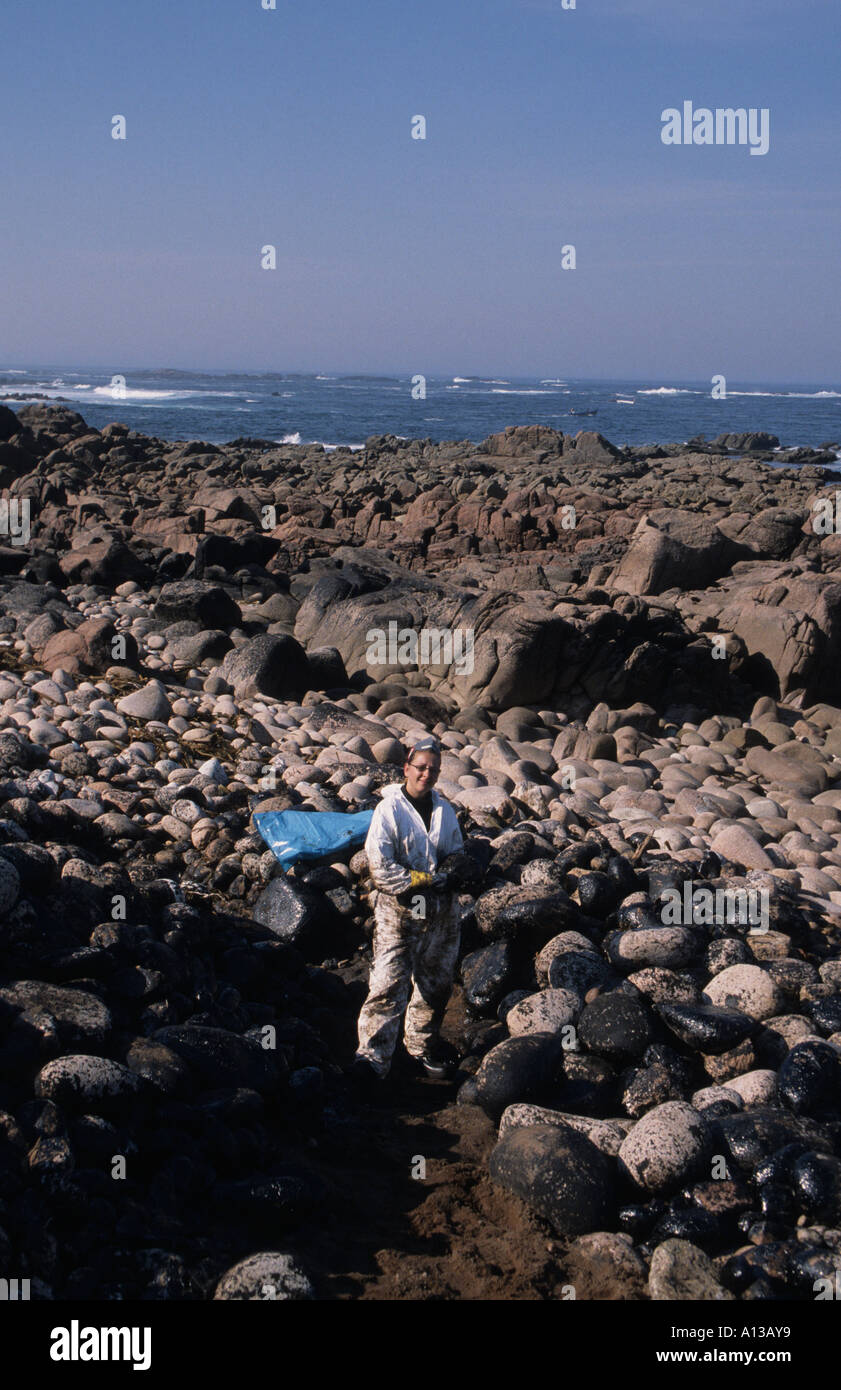 Woman in summer 2004 cleaning huge oil spill of the Prestige tanker ...