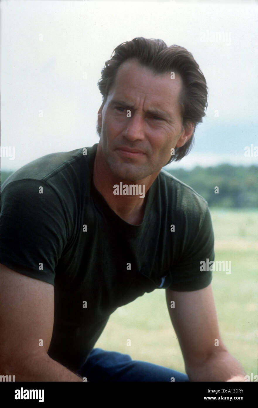Steel Magnolias Year 1989 Director Herbert Ross Sam Shepard Stock Photo ...