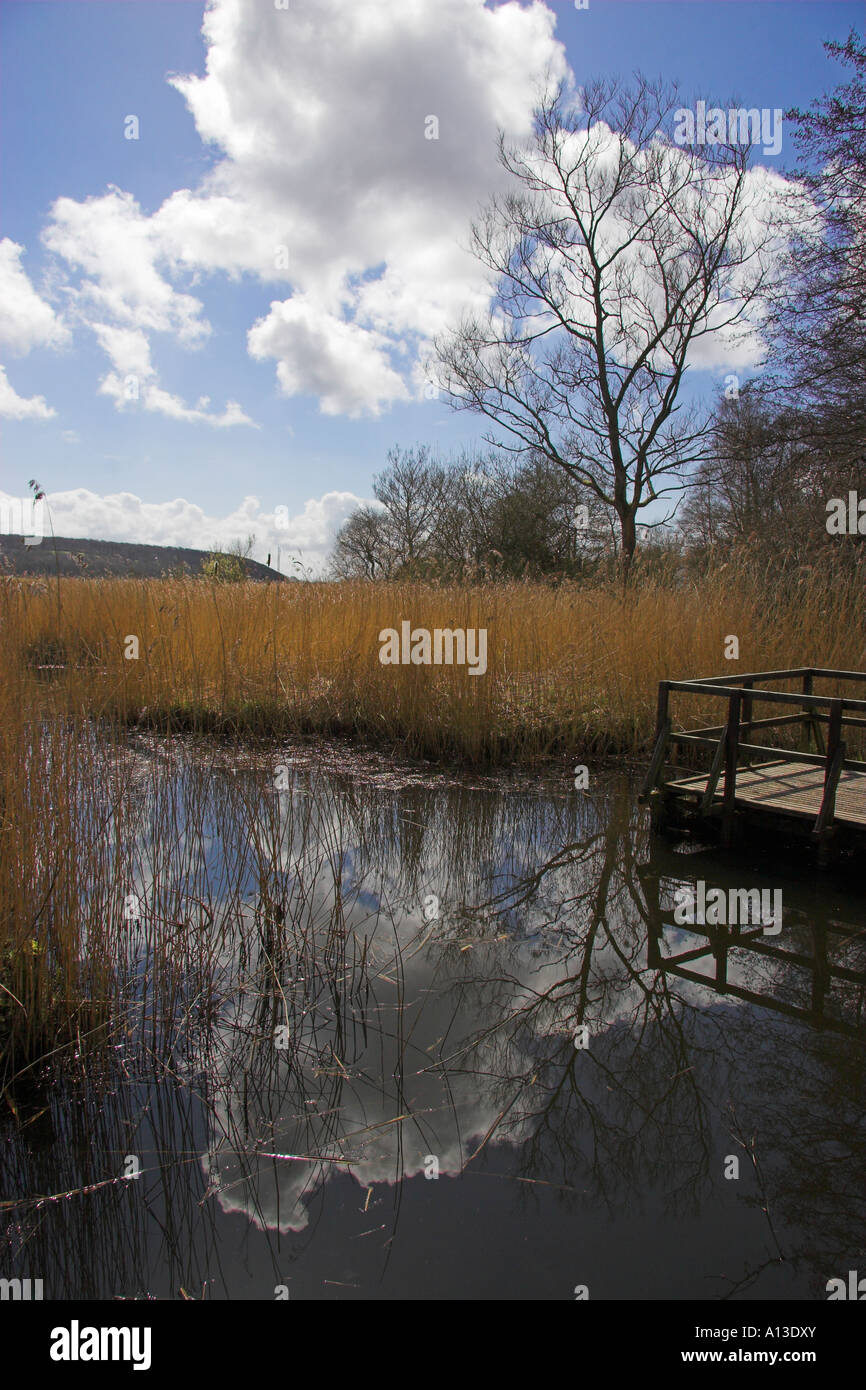 The royal silverdale lancashire hi-res stock photography and images - Alamy
