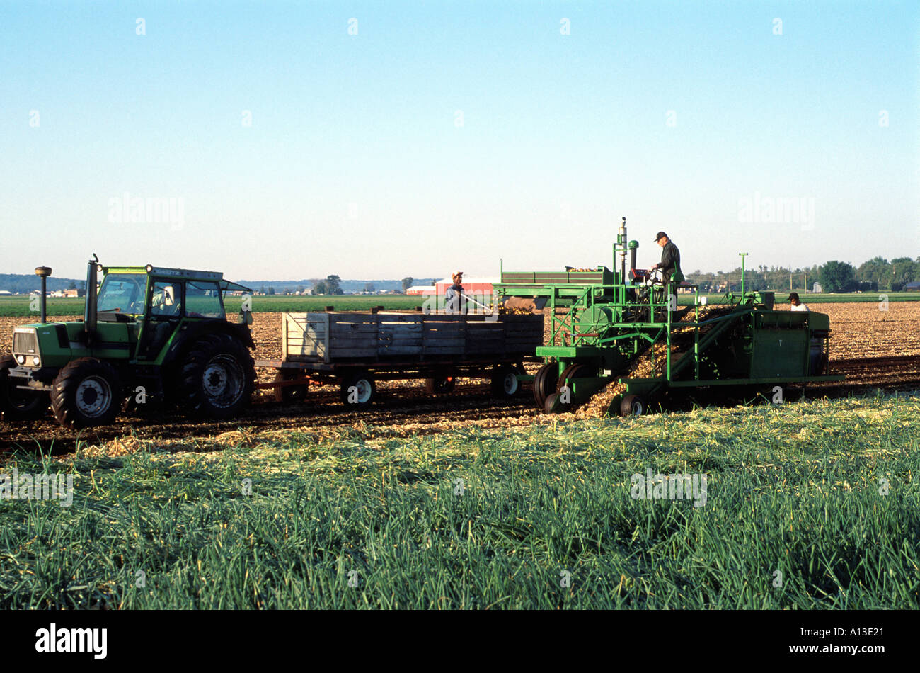 Marsh harvester hi-res stock photography and images - Alamy