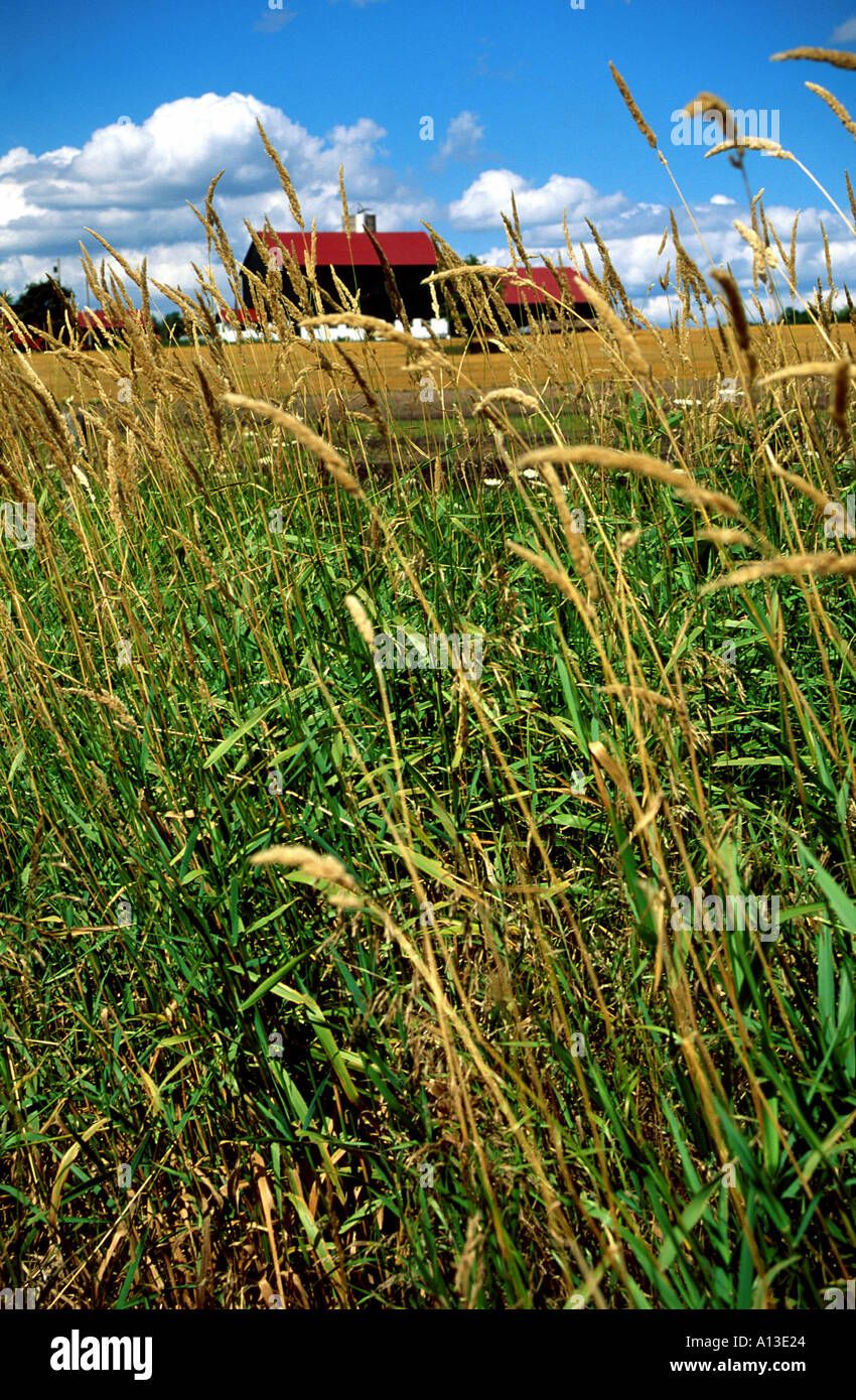 White house farm hi-res stock photography and images - Alamy