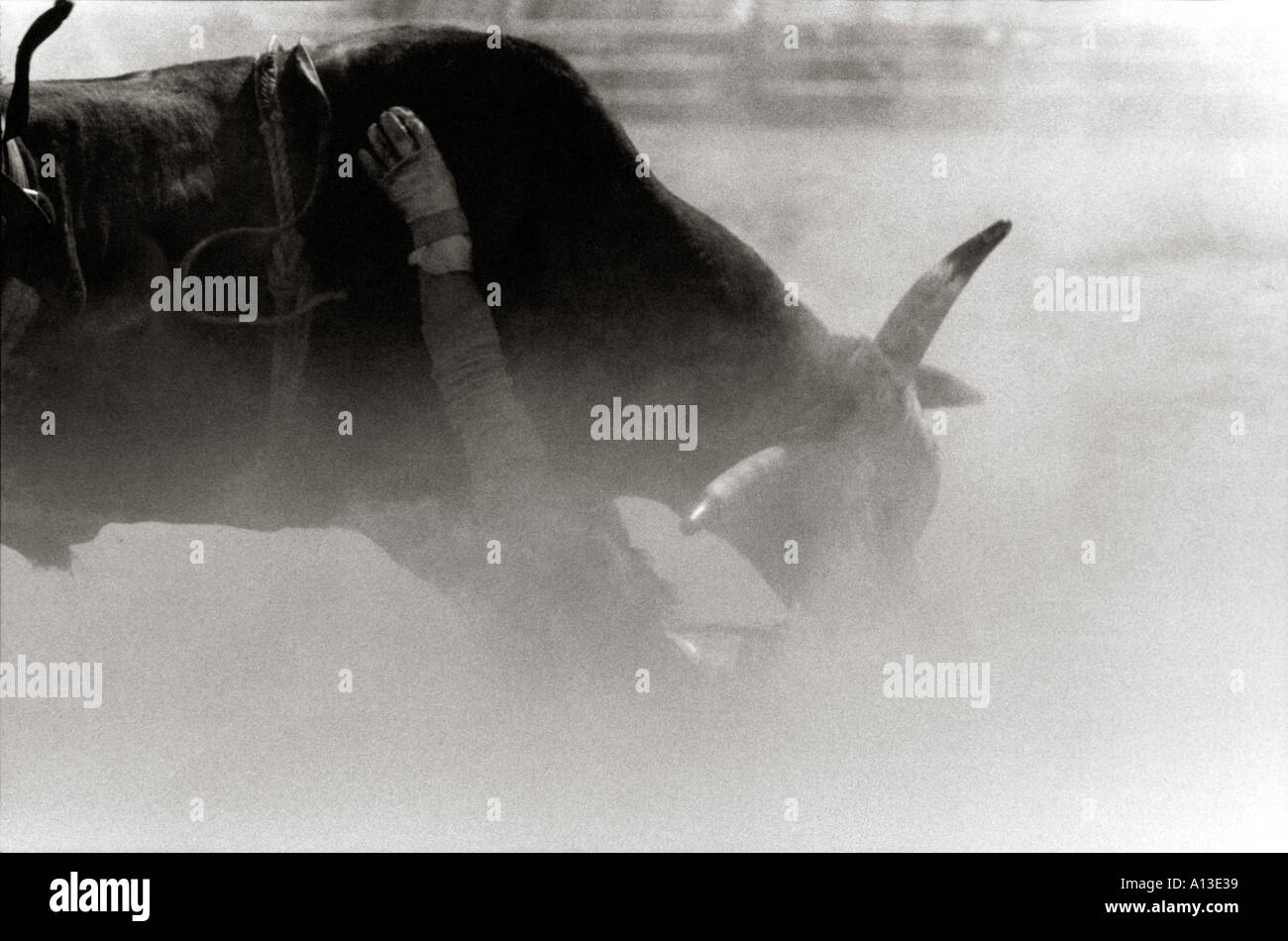 Cowboy bucked off bull hi-res stock photography and images - Alamy
