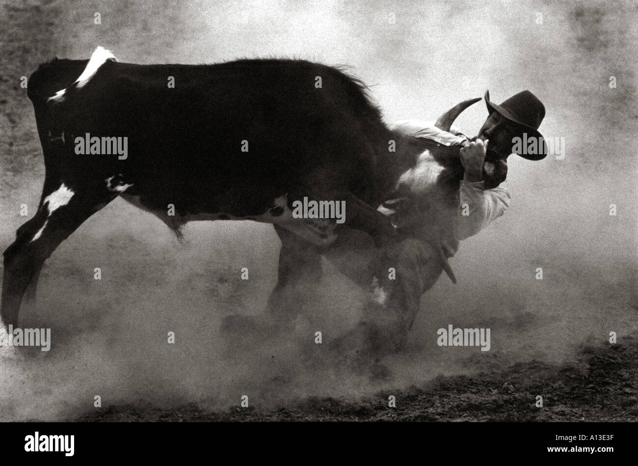 Steer wrestling cowboy action rodeo hi-res stock photography and images ...