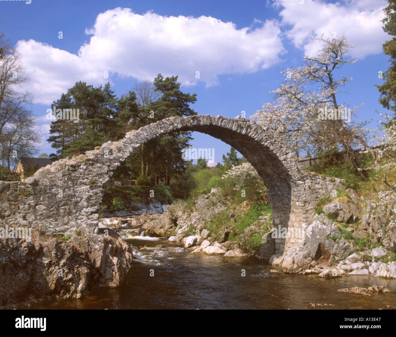 Scotland Carrbridge Old Packhorse Bridge Stock Photo - Alamy