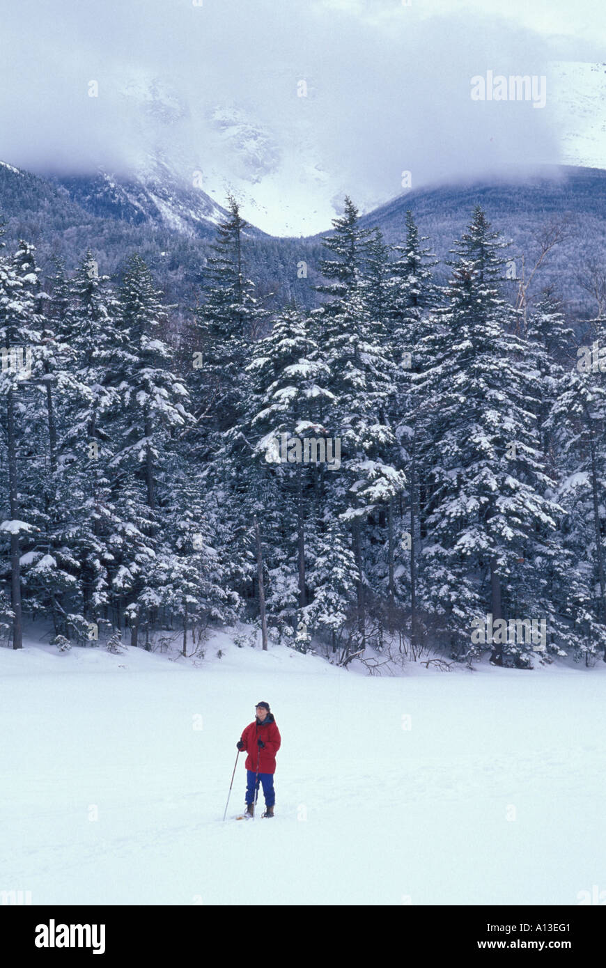 Lost Pond White Mountains Snowshoeing in a snow storm March Tuckermans ...