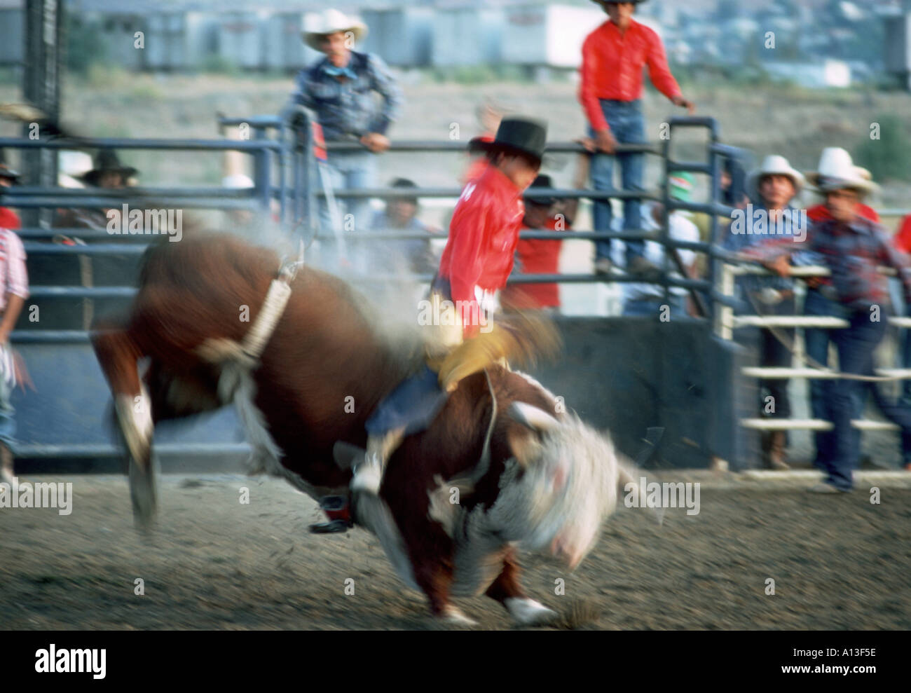 cowboy bull riding during rodeo event Stock Photo - Alamy