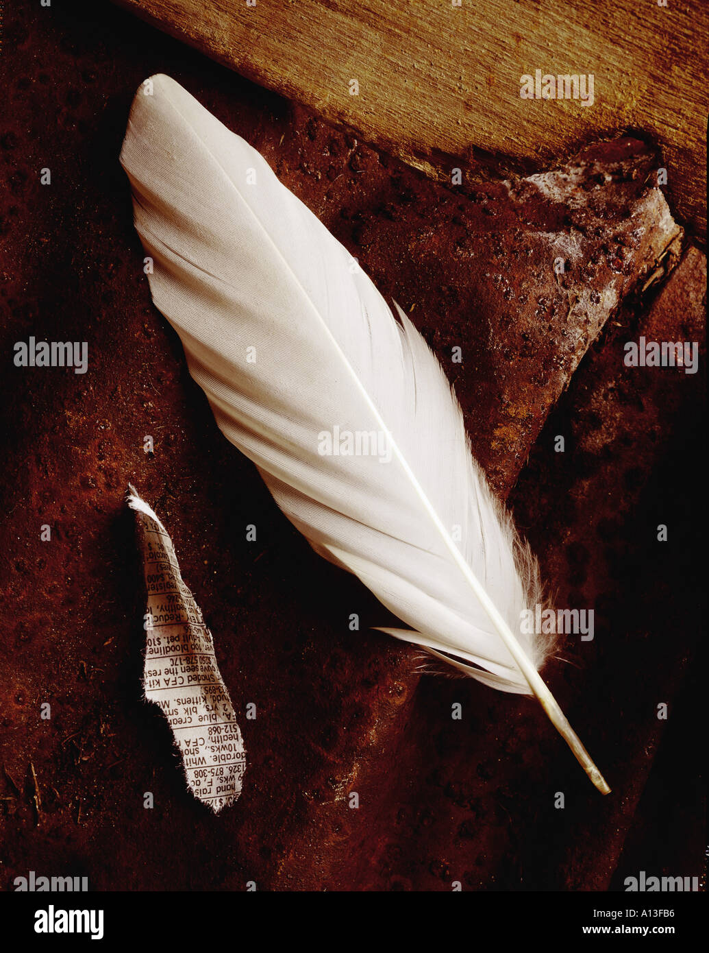 still life of a white feather on a rusty bkg Stock Photo - Alamy