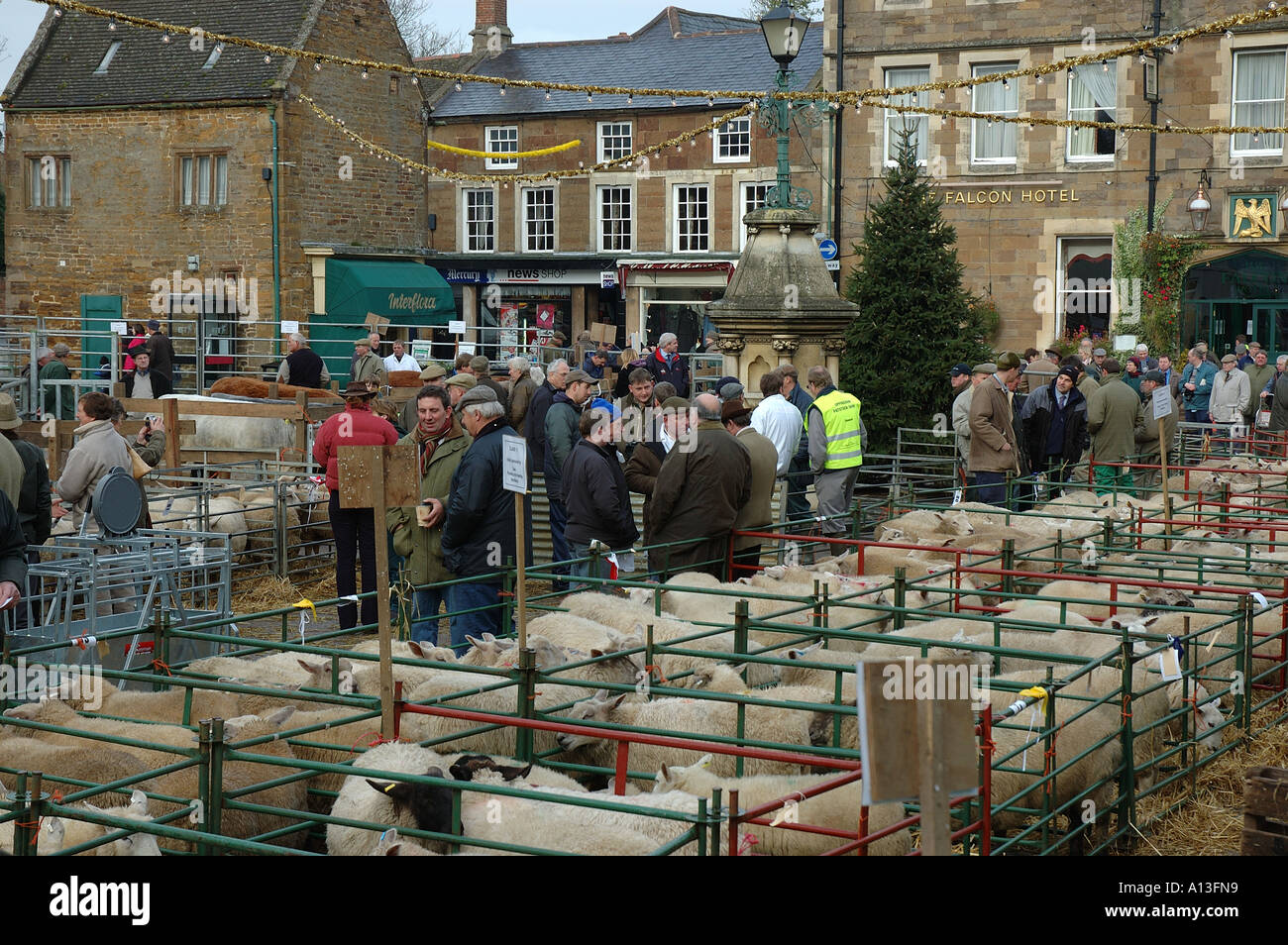 CHRISTMAS FATSTOCK MARKET IN UPPINGHAM, RUTLAND Stock Photo - Alamy