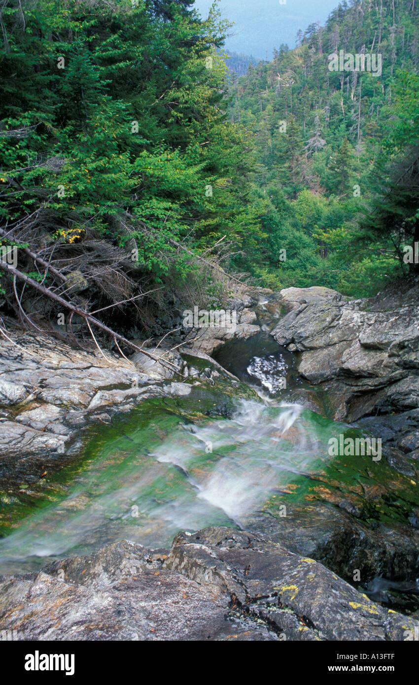 Nancy cascades hi-res stock photography and images - Alamy