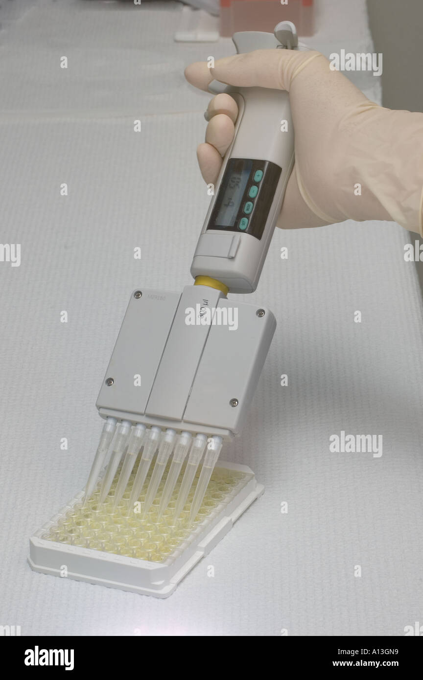 Pipetting a reagent into a microplate during a biochemistry experiment ...