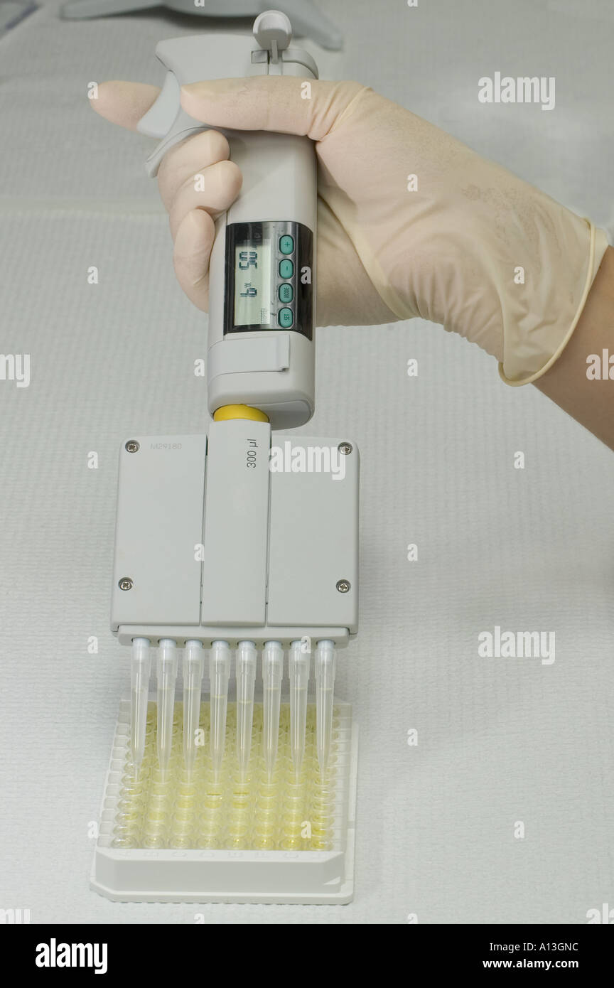 Pipetting a reagent into a microplate during a biochemistry experiment ...
