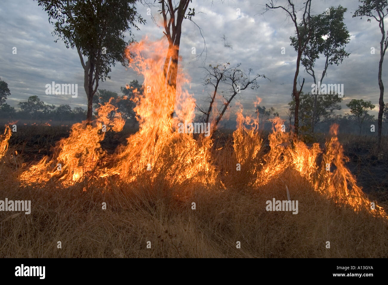 Bushfire northern territory australia hi-res stock photography and ...