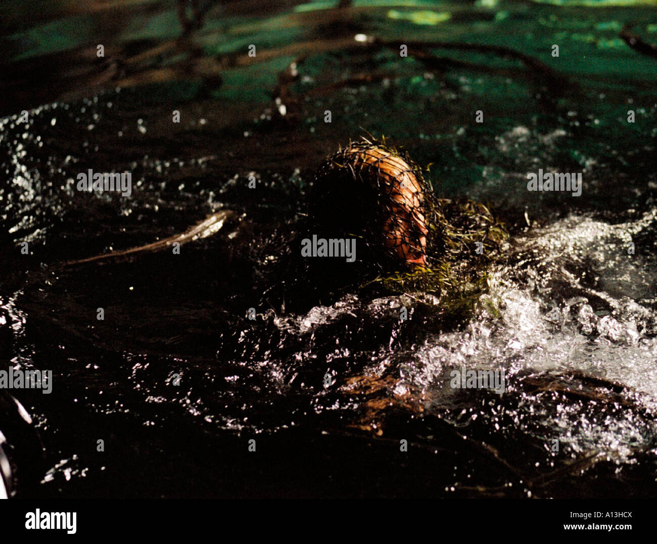 Maggie grace 2006 hi-res stock photography and images - Alamy