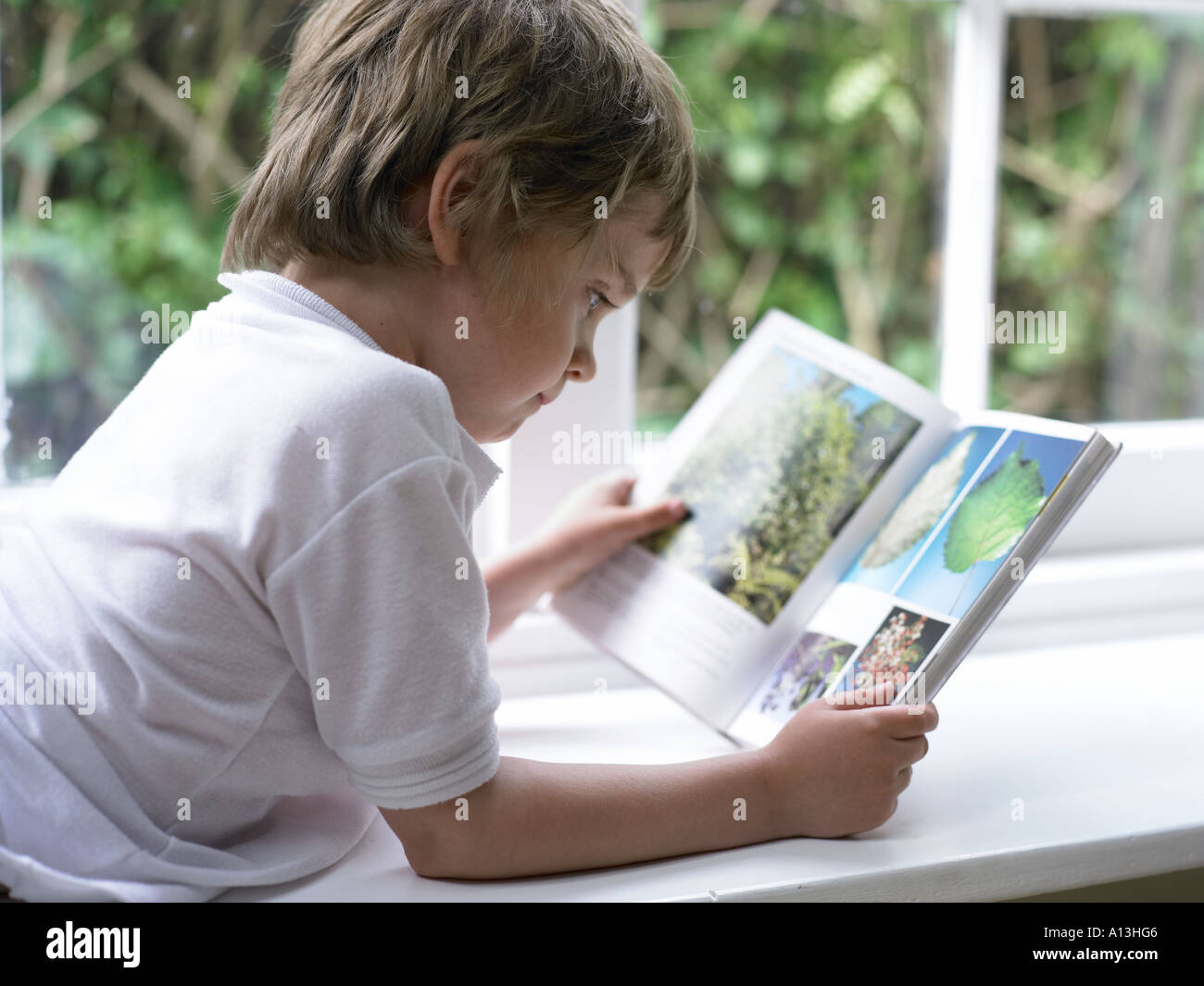 A boy intently reading a book hi-res stock photography and images - Alamy