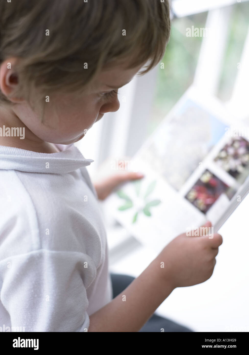 A boy intently reading a book hi-res stock photography and images - Alamy