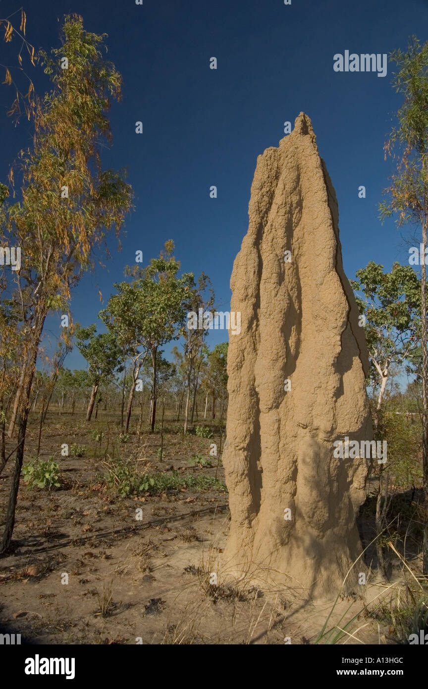 A giant termite mound in Australia's Kakadu National Park Stock Photo ...