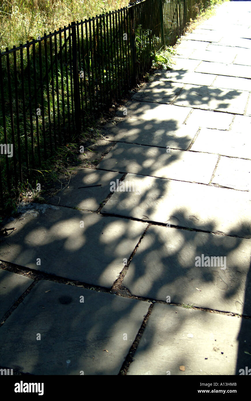Path with tree shadow Stock Photo - Alamy