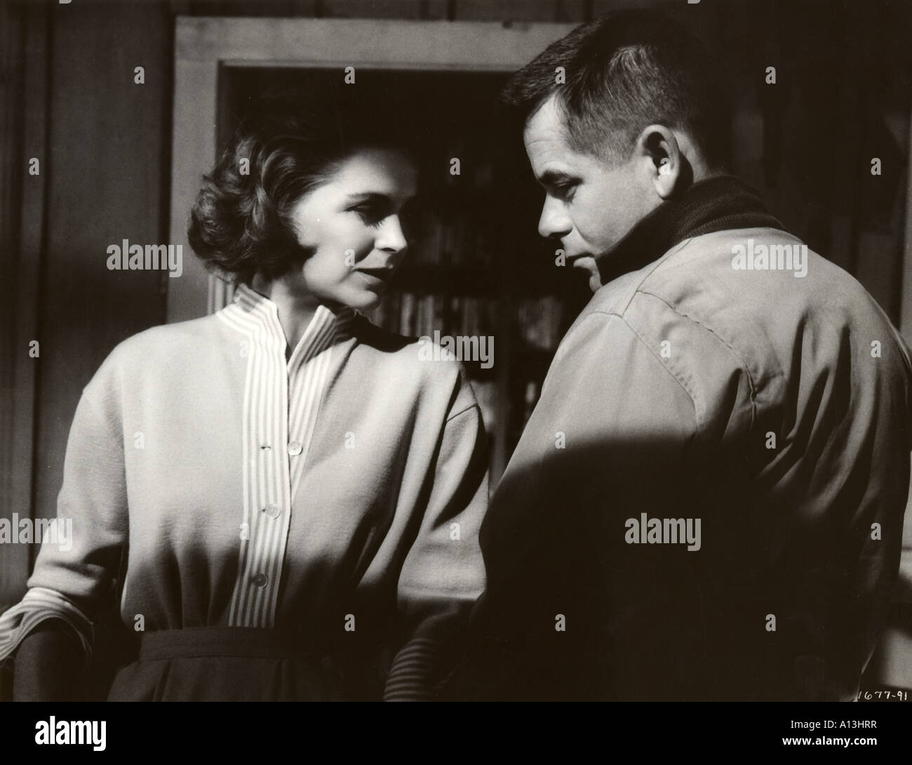 Trial Year 1955 Director Mark Robson Glenn Ford Dorothy McGuire Stock ...