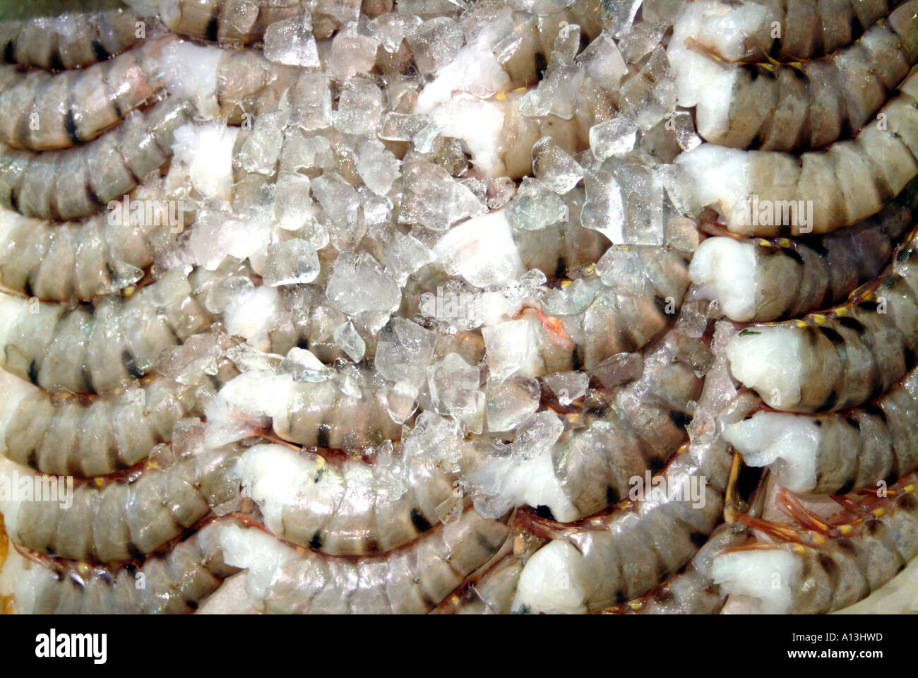 Headless prawns on display in Nishiki street market Kyoto Japan Stock ...