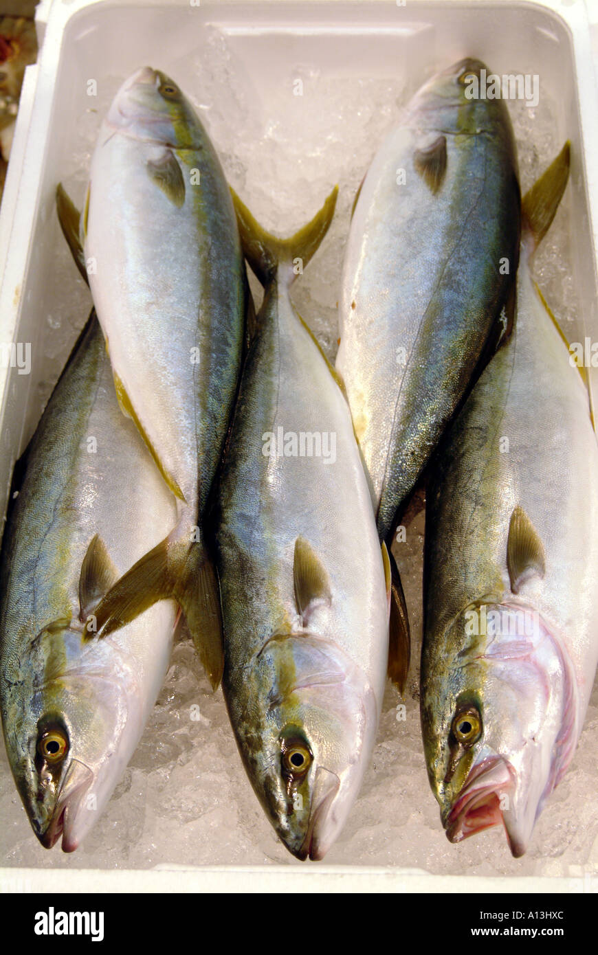 Fish on display in a Fushimi supermarket market Kyoto Japan Stock Photo ...