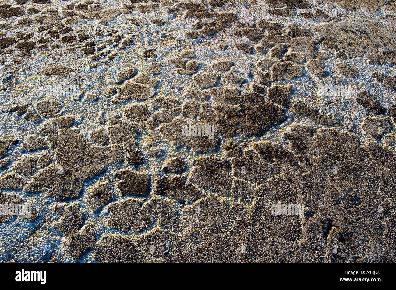 mud sulphur floor, close up Stock Photo - Alamy