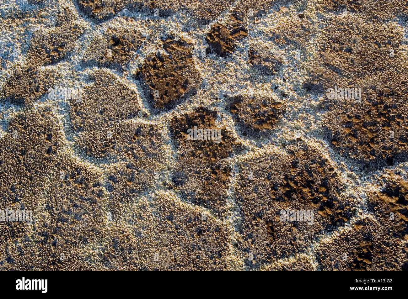 mud sulphur floor, close up Stock Photo - Alamy