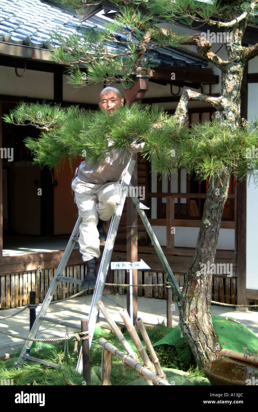 Gardener pruning a tree at Enkoji Temple during autumn Kyoto Japan ...