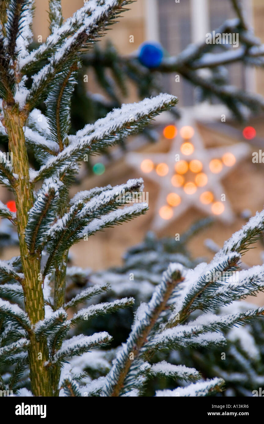 Snow covered Christmas tree and public decorations in Kelso Scotland ...
