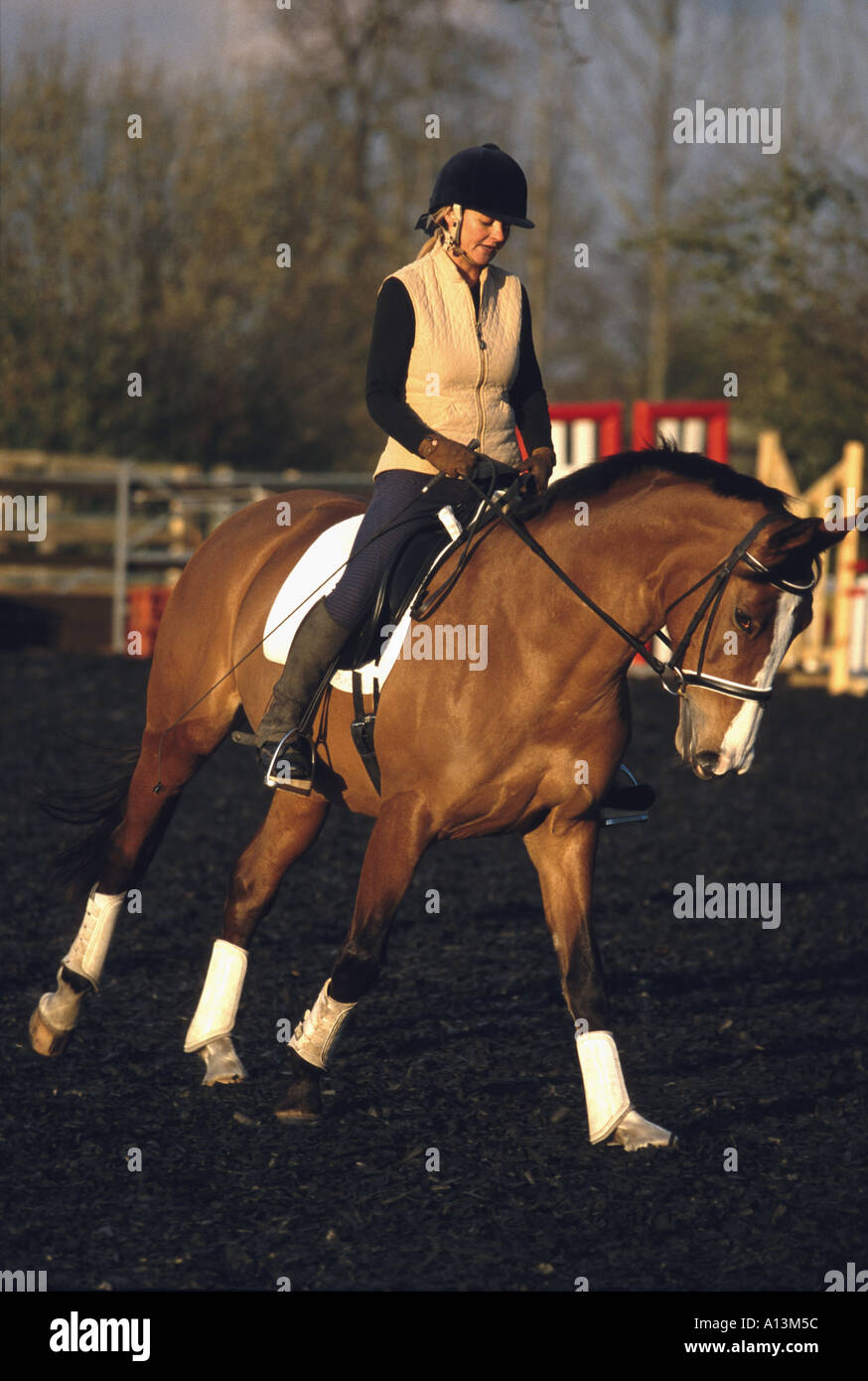 Sport Sports Young Woman riding Horse Stock Photo - Alamy