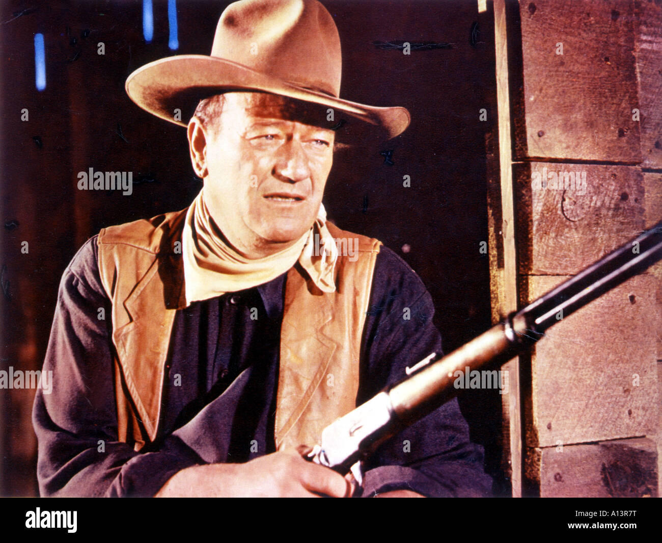 John wayne cow hi-res stock photography and images - Alamy