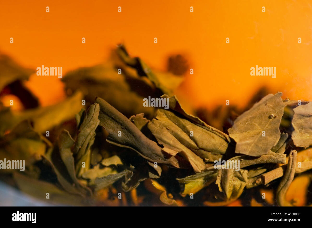 boiling the tea Stock Photo - Alamy