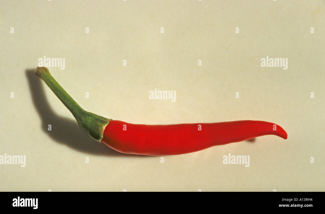 chili pepper, capsicum annuum Stock Photo - Alamy