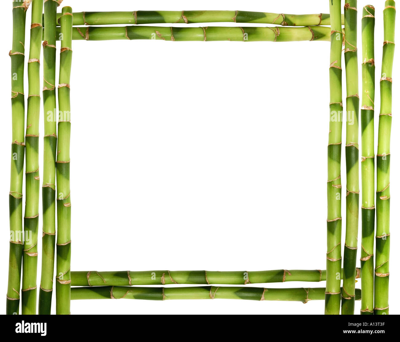 Lucky Bamboo Cut Out High Resolution Stock Photography and Images - Alamy