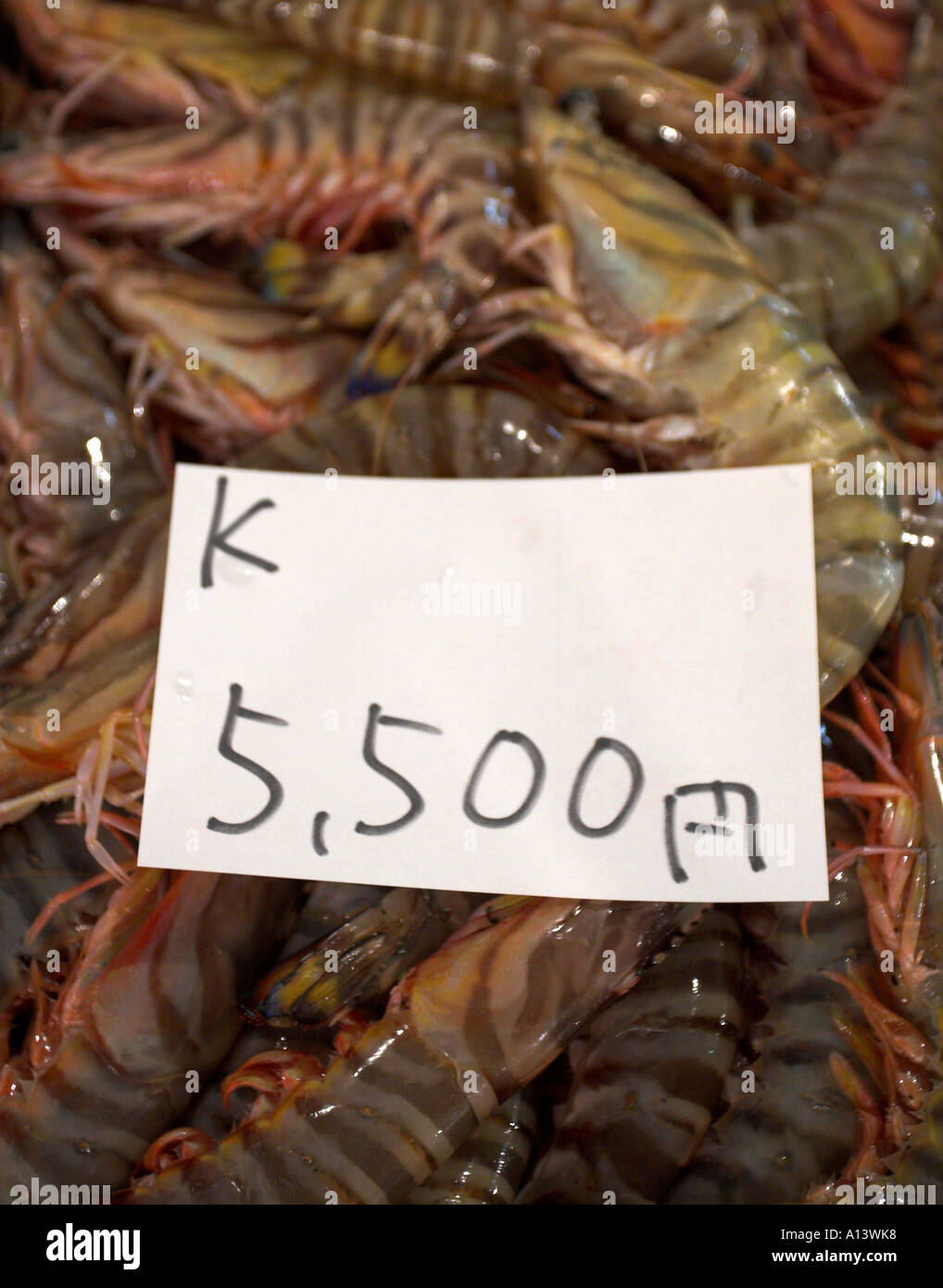 Fresh catch of prawns on display at Tokyo fish market, Japan Stock ...