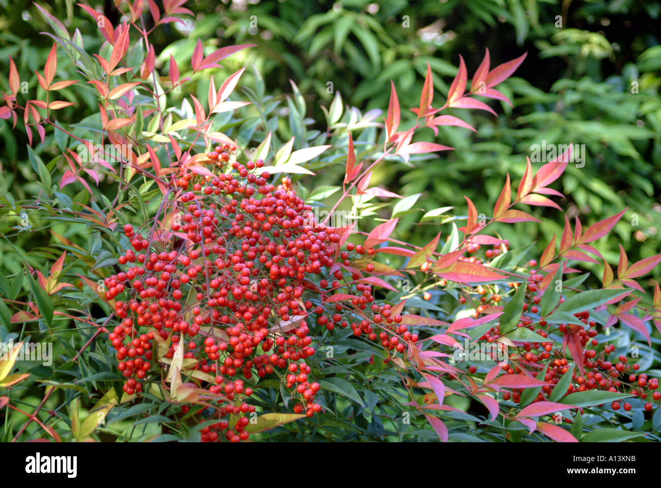 Berry temple hi-res stock photography and images - Alamy