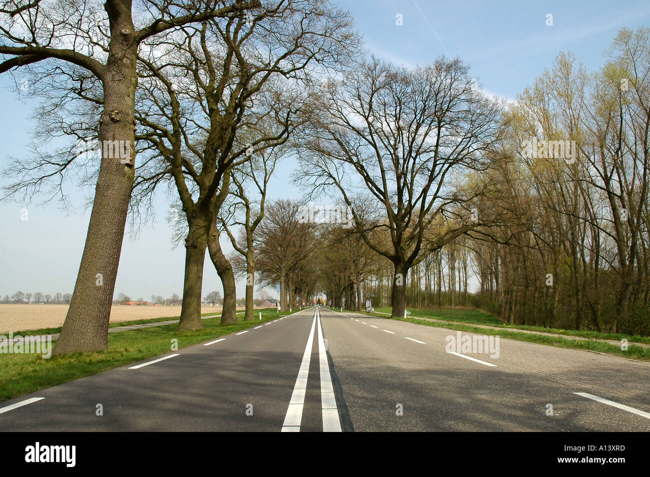 quiet secondary road in the Netherlands without traffic Stock Photo - Alamy