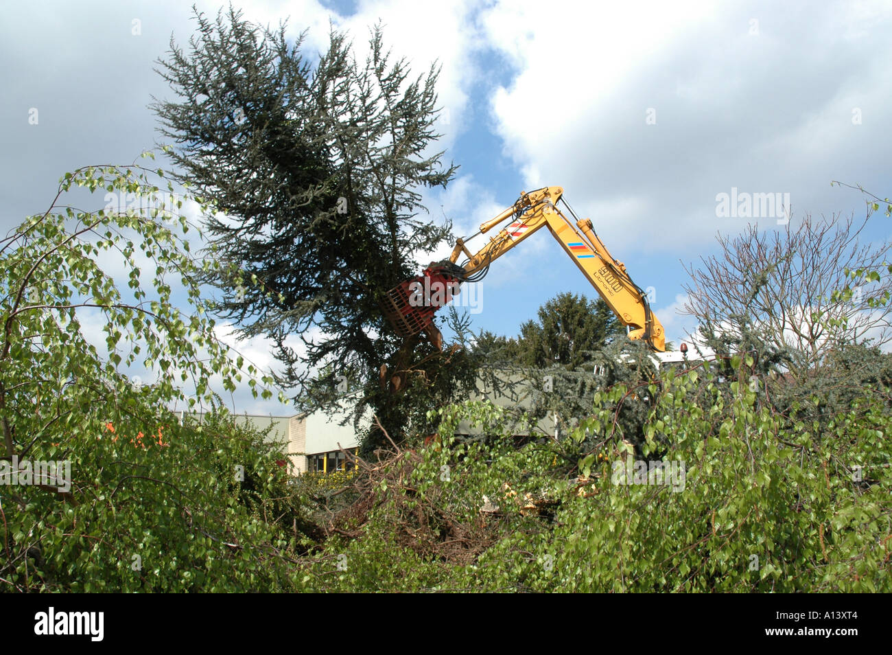 Bulldozer clearing trees hi-res stock photography and images - Alamy