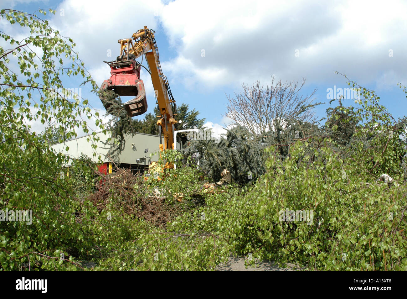 Bulldozer clearing trees hi-res stock photography and images - Alamy