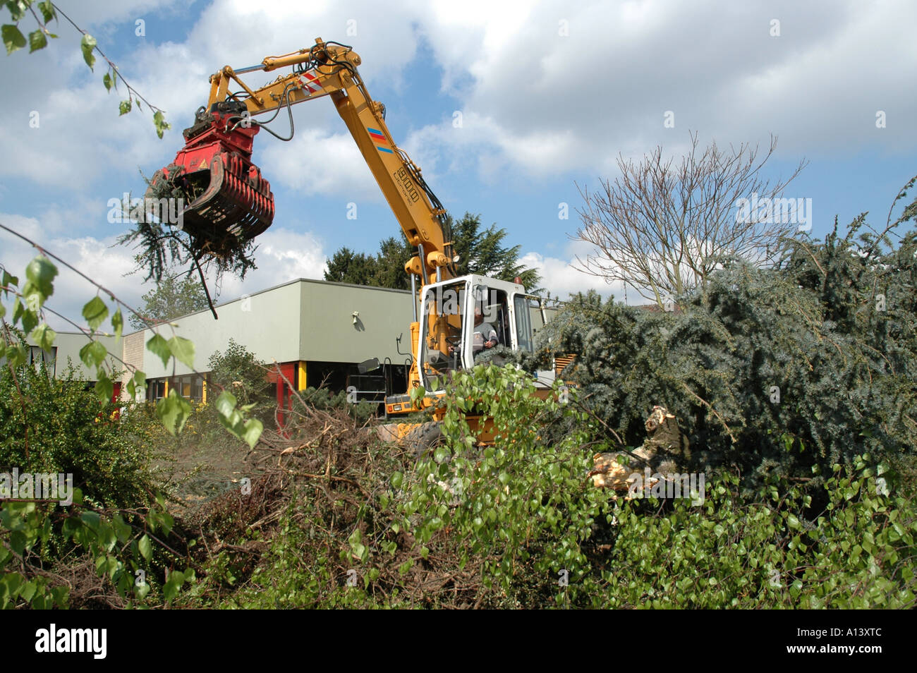 Bulldozer clearing trees hi-res stock photography and images - Alamy