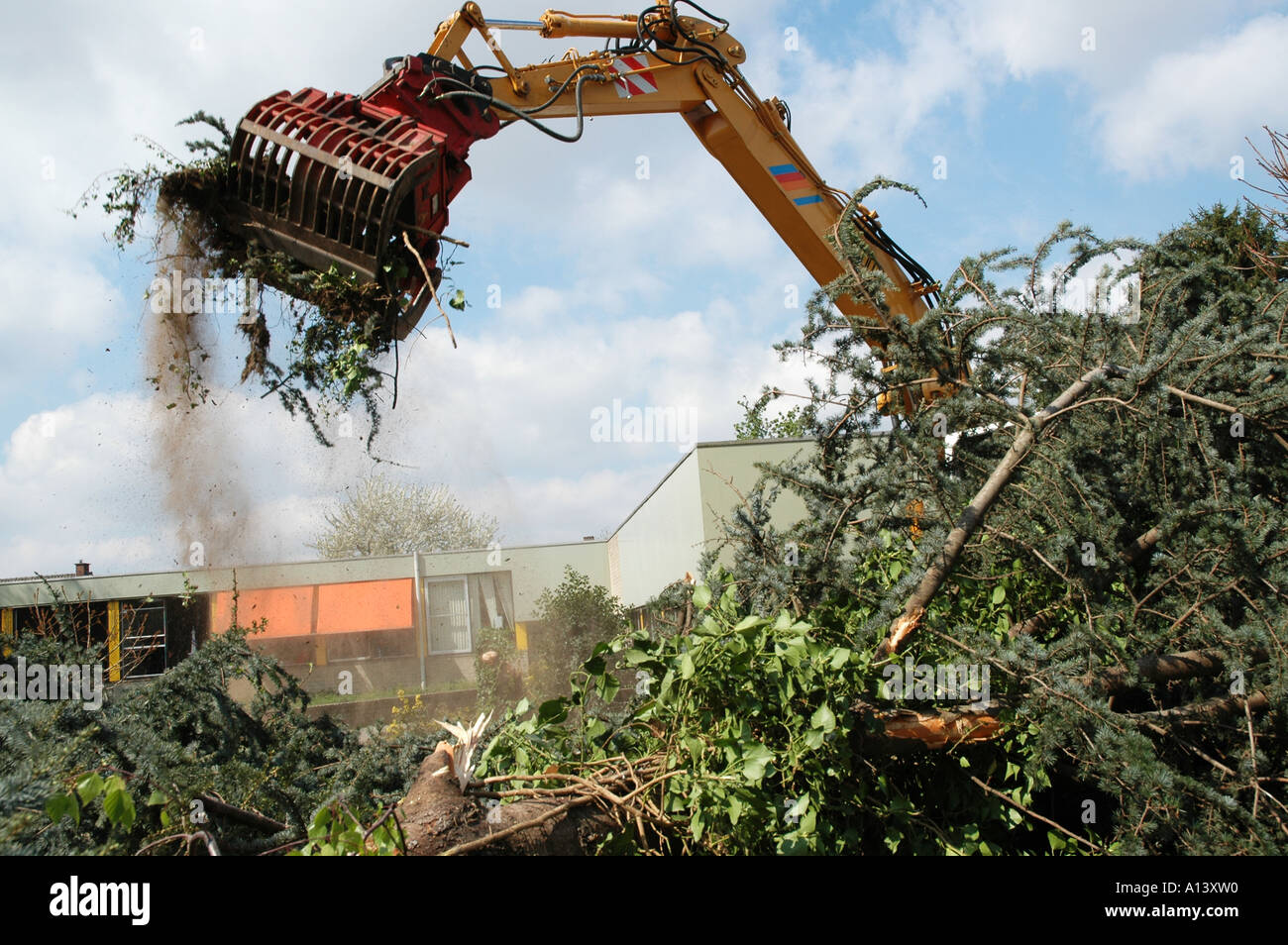Bulldozer clearing trees hi-res stock photography and images - Alamy