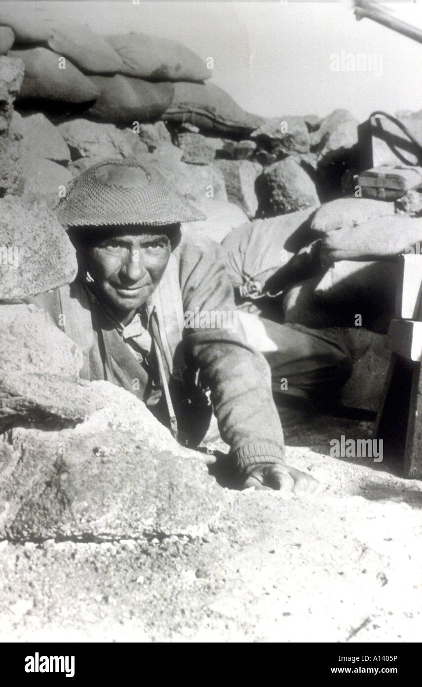 The Desert Fox Year 1951 Director Henry Hathaway Stock Photo - Alamy