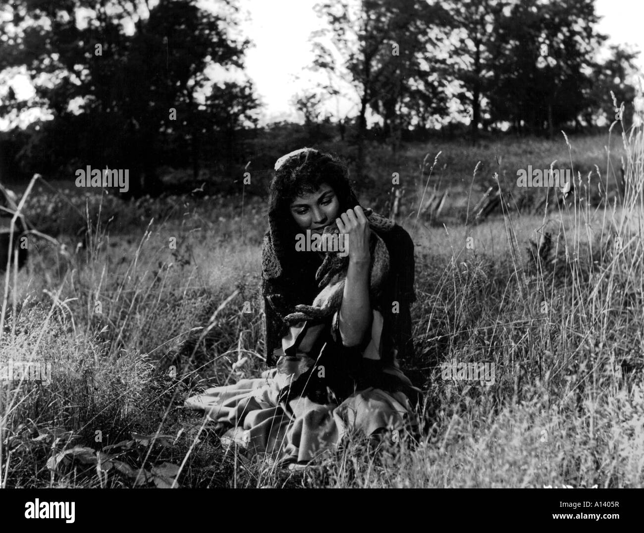 Gone To Earth Year 1950 Director Michael Powell et Emeric Pressburger ...