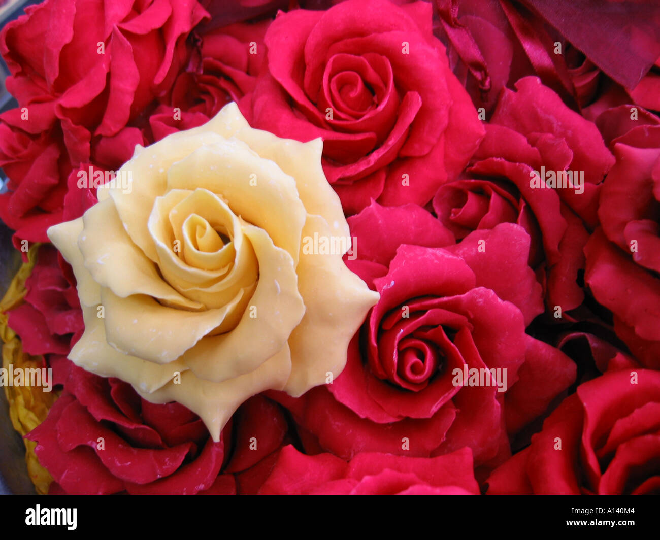 yellow soap rose on bed of red roses Stock Photo - Alamy