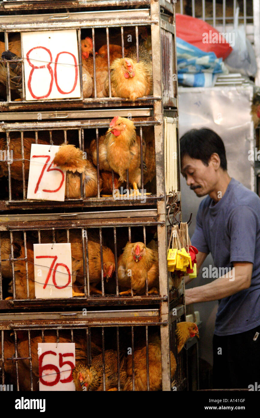 Chicken shop in Hong Kong Stock Photo - Alamy