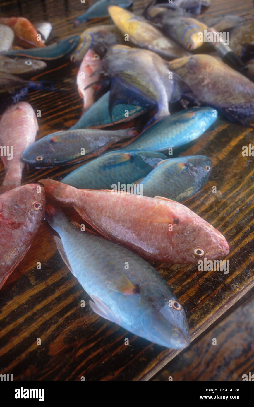 Puerto rico food market hi-res stock photography and images - Alamy