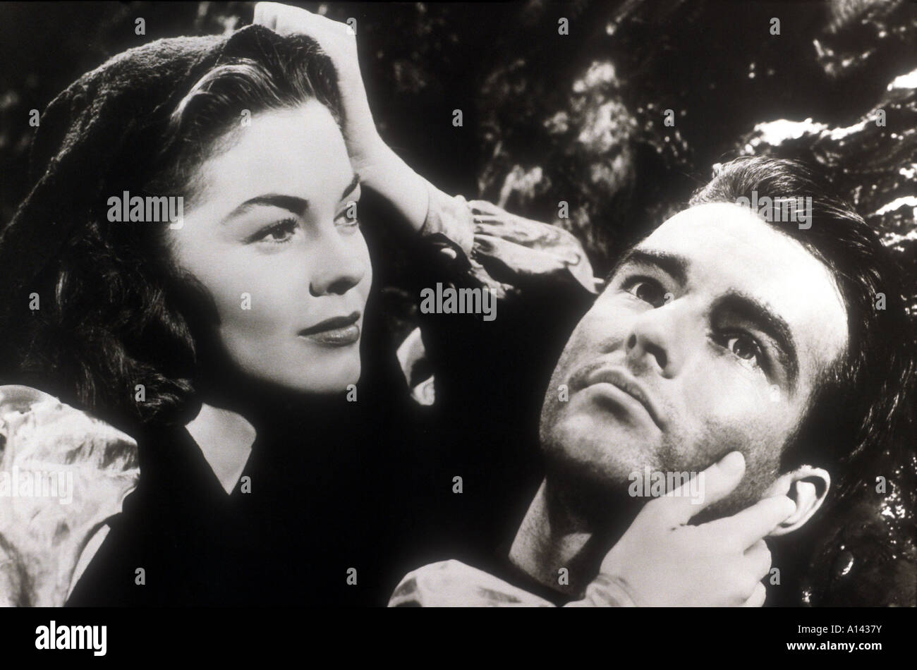 Red River Year 1948 Director Howard Hawks Montgomery Clift Joanne Dru ...