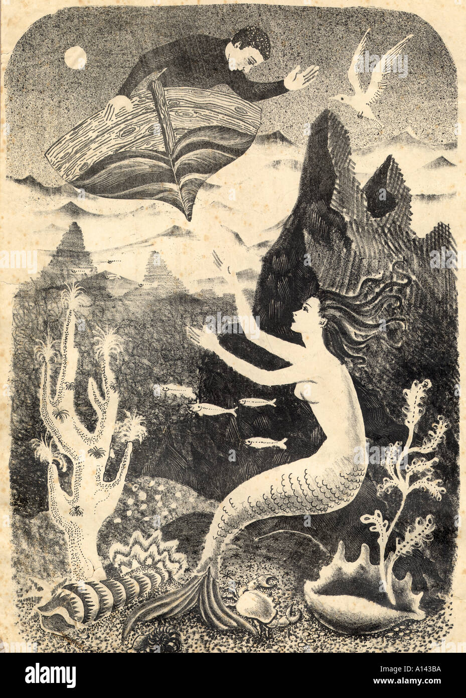 Mermaid and Fisherman Stock Photo - Alamy