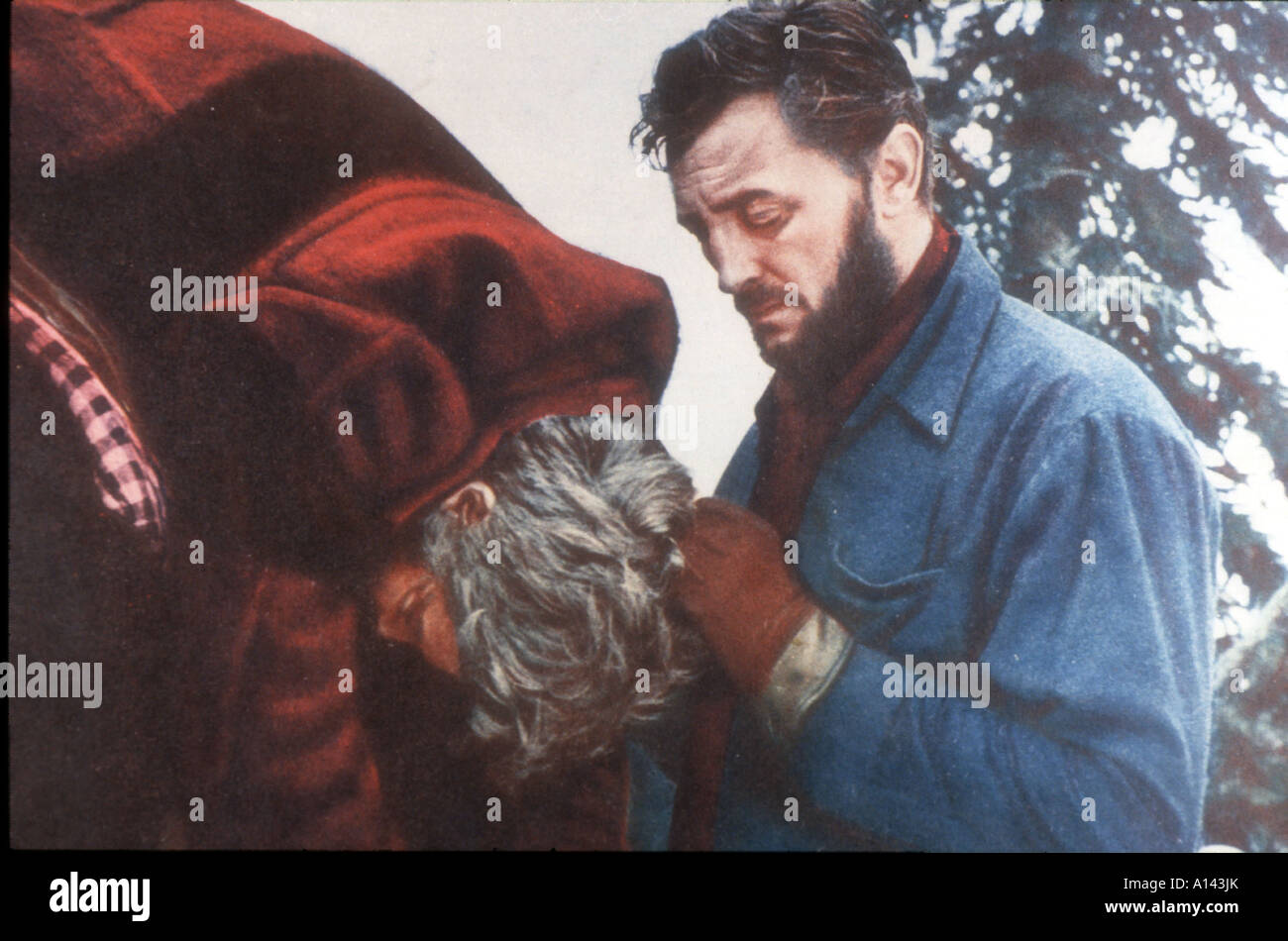 Track of the Cat Year 1954 Director William Wellman Robert Mitchum ...