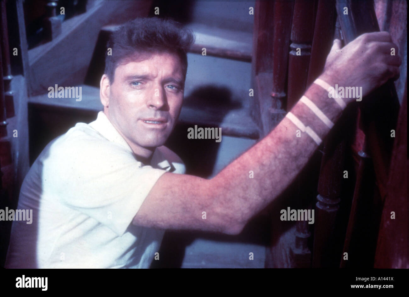 Trapeze Year 1956 Director Carol Reed Burt Lancaster Stock Photo - Alamy