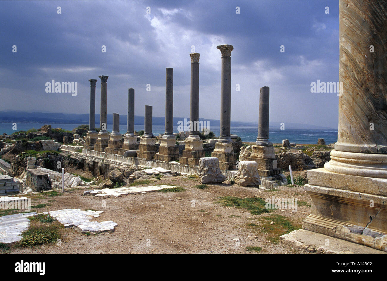 Roman ruins at Tyre Southern Lebanon Stock Photo - Alamy